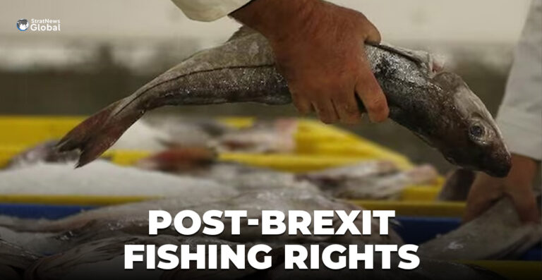 Britain, EU Move Court Over Post-Brexit Fishing Rights