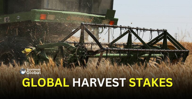 China: Rains Hit Wheat Harvest, Imports To Push Up Global Prices