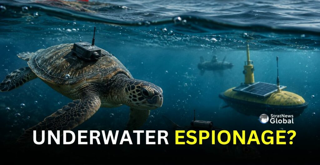 China Warns Of ‘Spy Turtles’ And ‘Spy Fish’ In Latest Espionage Claim